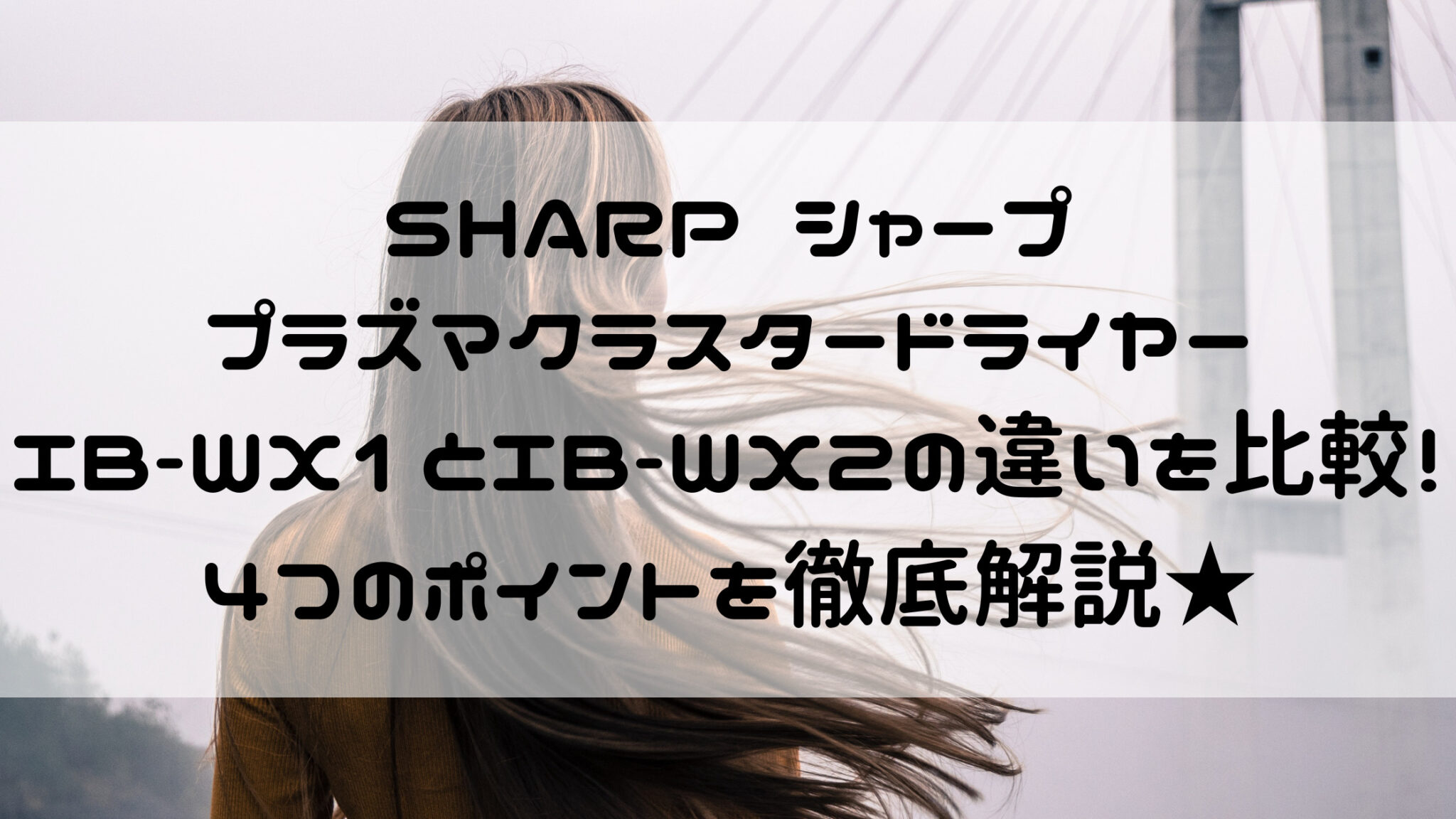 IB-WX1とIB-WX2の違いを比較！4つの違いを徹底的に解説！